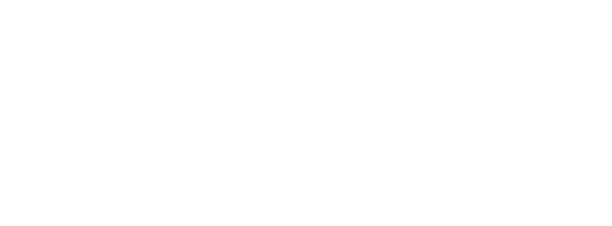 PACER Plus Implementation Unit - PACER Plus